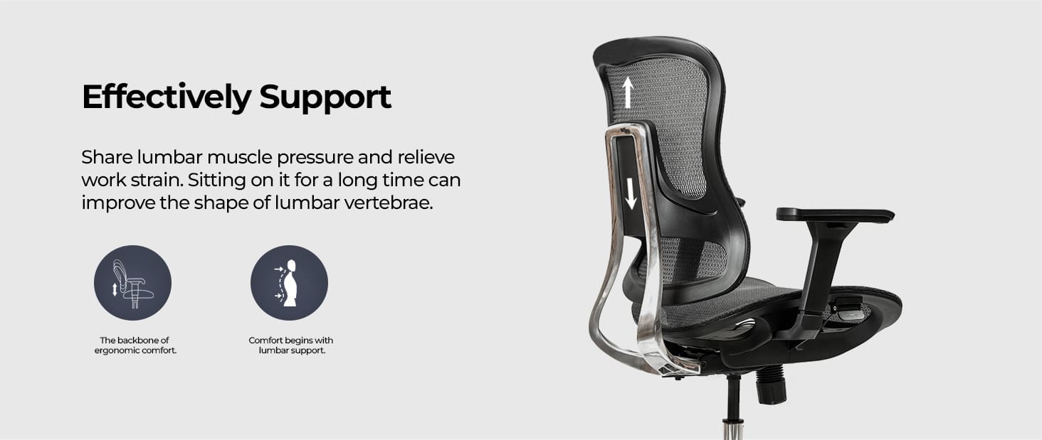 Vortex Mid Back Ergonomic Office Chair - BOSQ